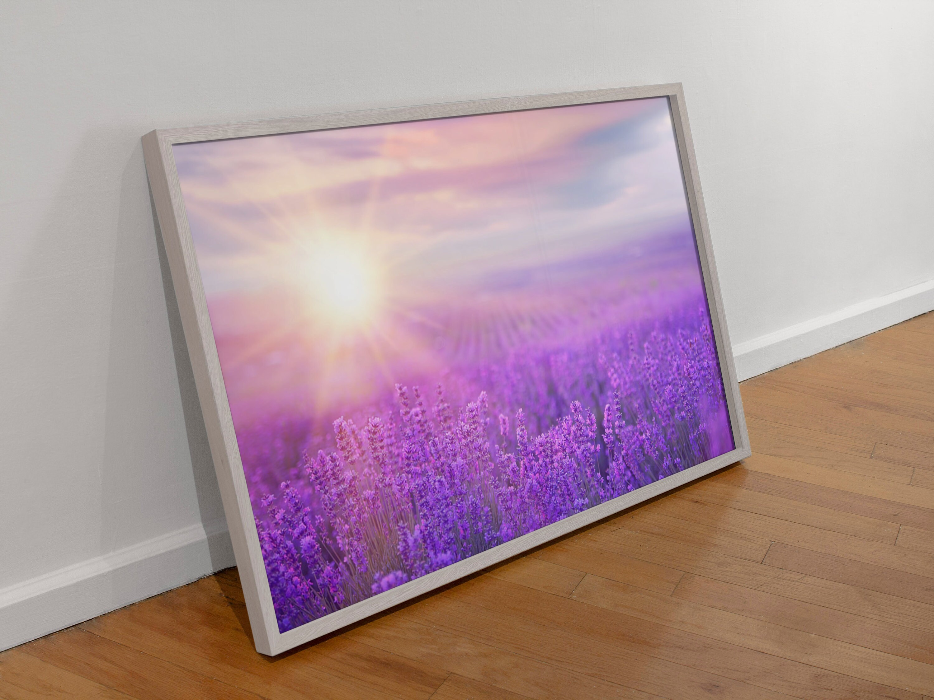 Lavender Field at Sunset Poster Art - Etsy