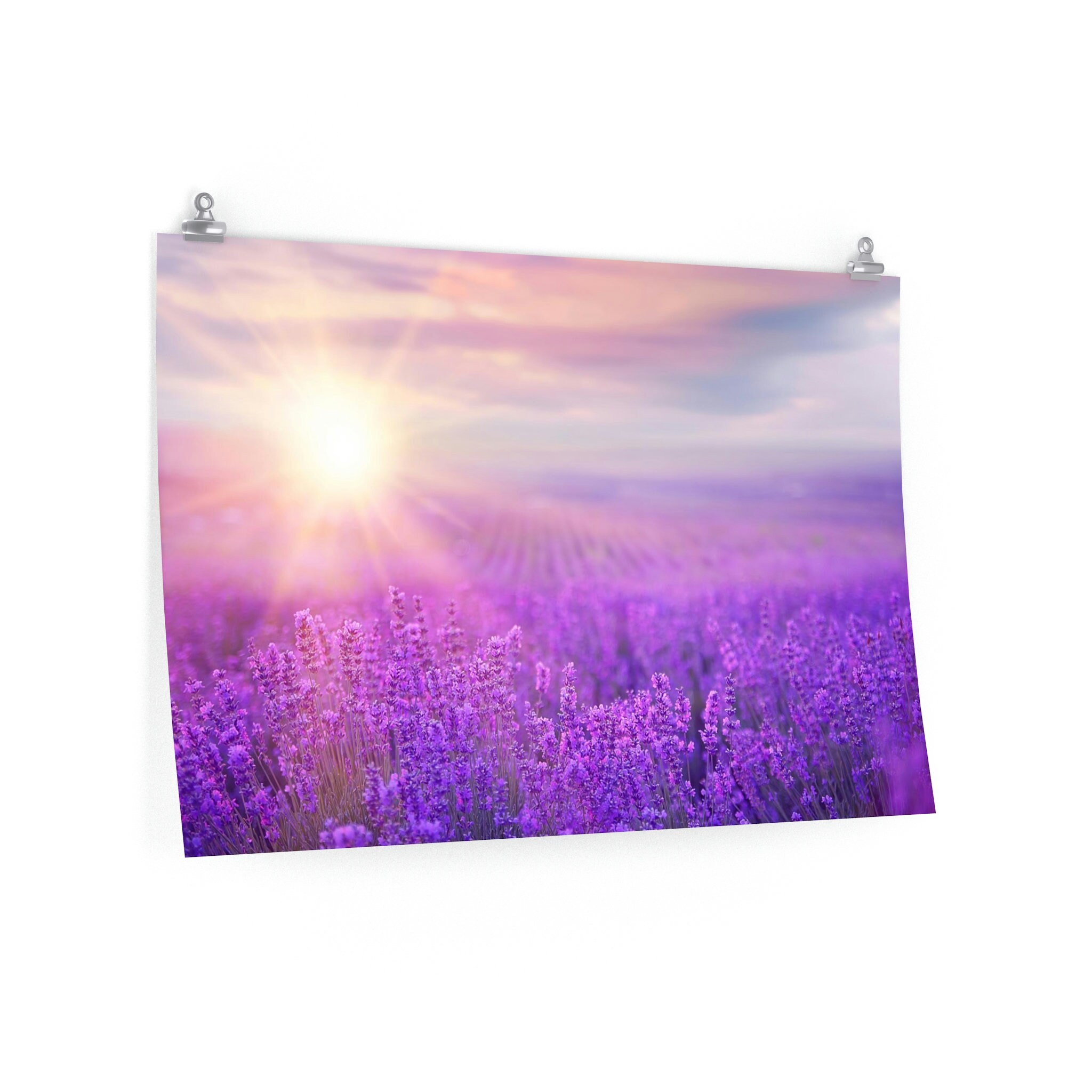 Lavender Field at Sunset Poster Art - Etsy