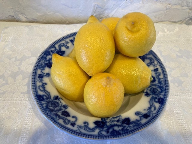 Brownfield & Sons Guild Pottery Society, Pair of Antique Soup Bowls ...