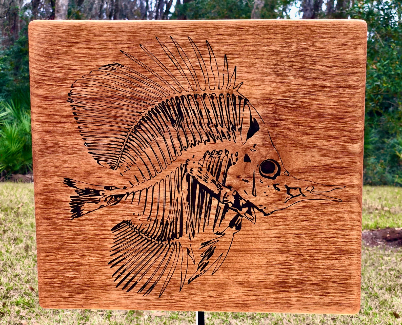 Fish Skeleton Wall Art - Etsy