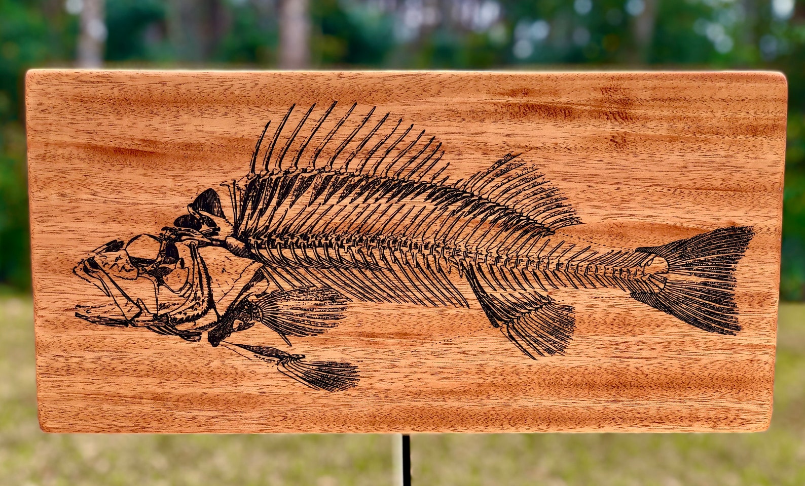 Fish Skeleton Wall Art - Etsy