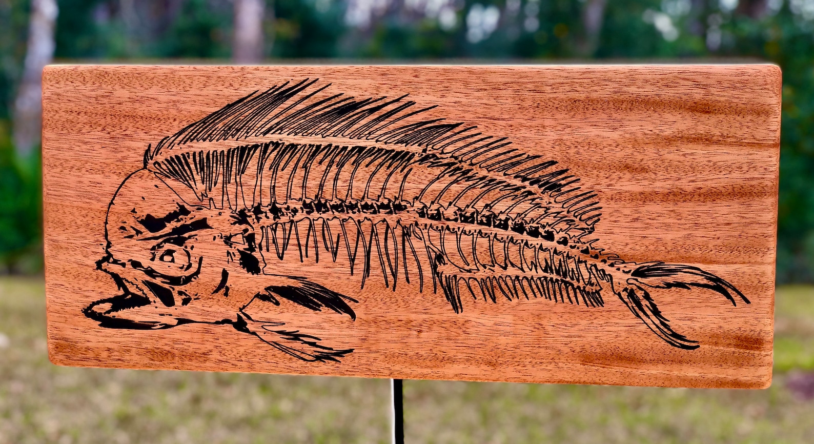 Fish Skeleton Wall Art - Etsy