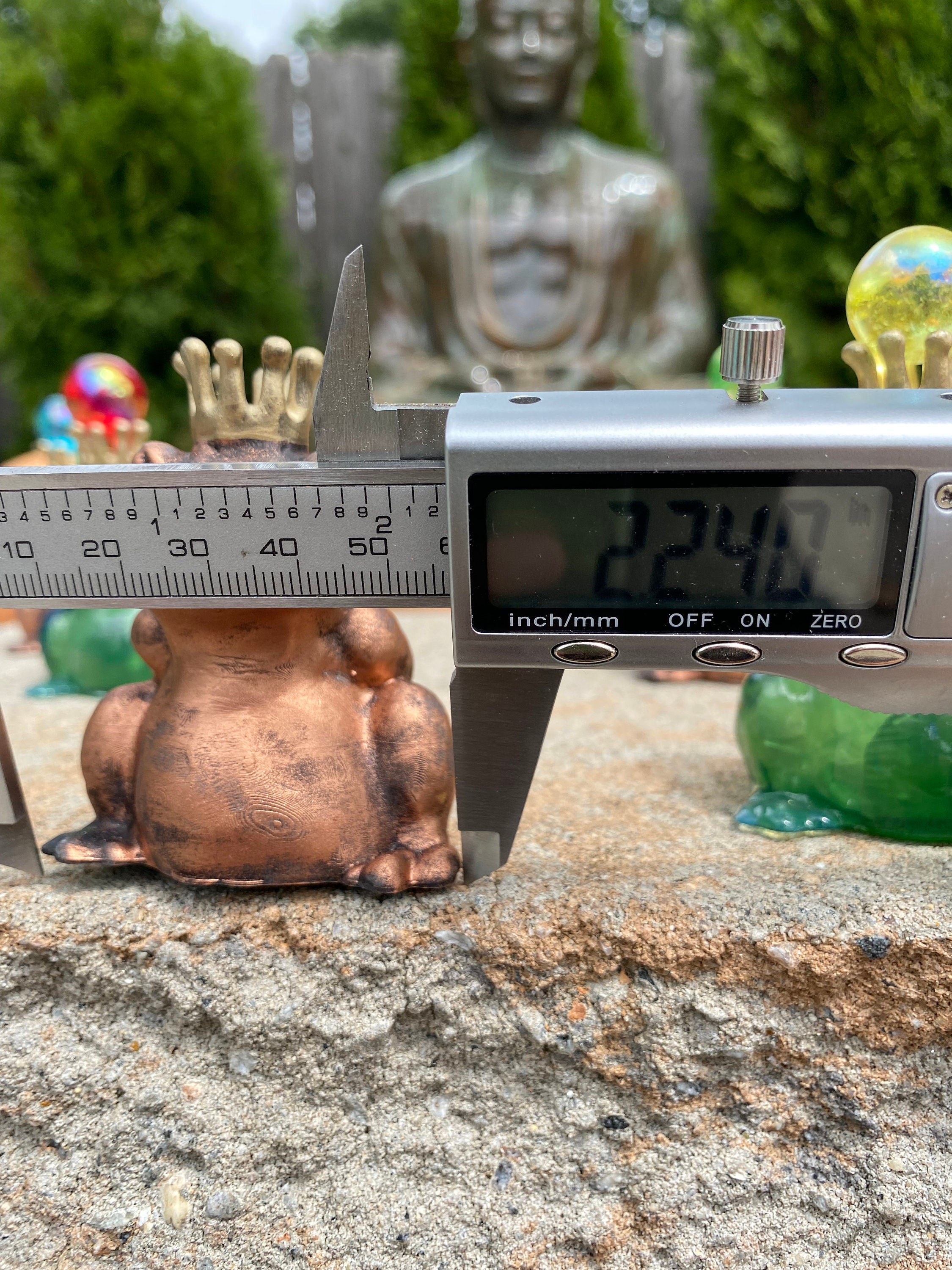 Jeremiah the Frog Prince - Etsy