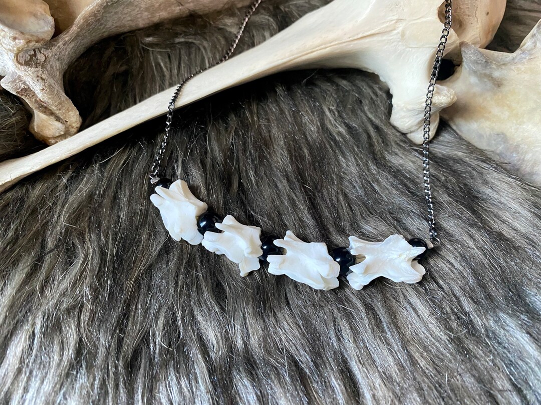 Annabelle Fox Vertebrae - Etsy