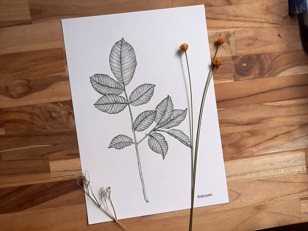 Ink Botanical Illustration | Etsy