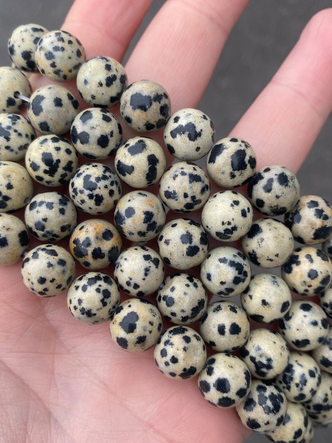 10mm Polished Dalmatian Jasper Beads Natural Stone Full Strand 15 - Etsy