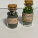 HP Potions - Etsy