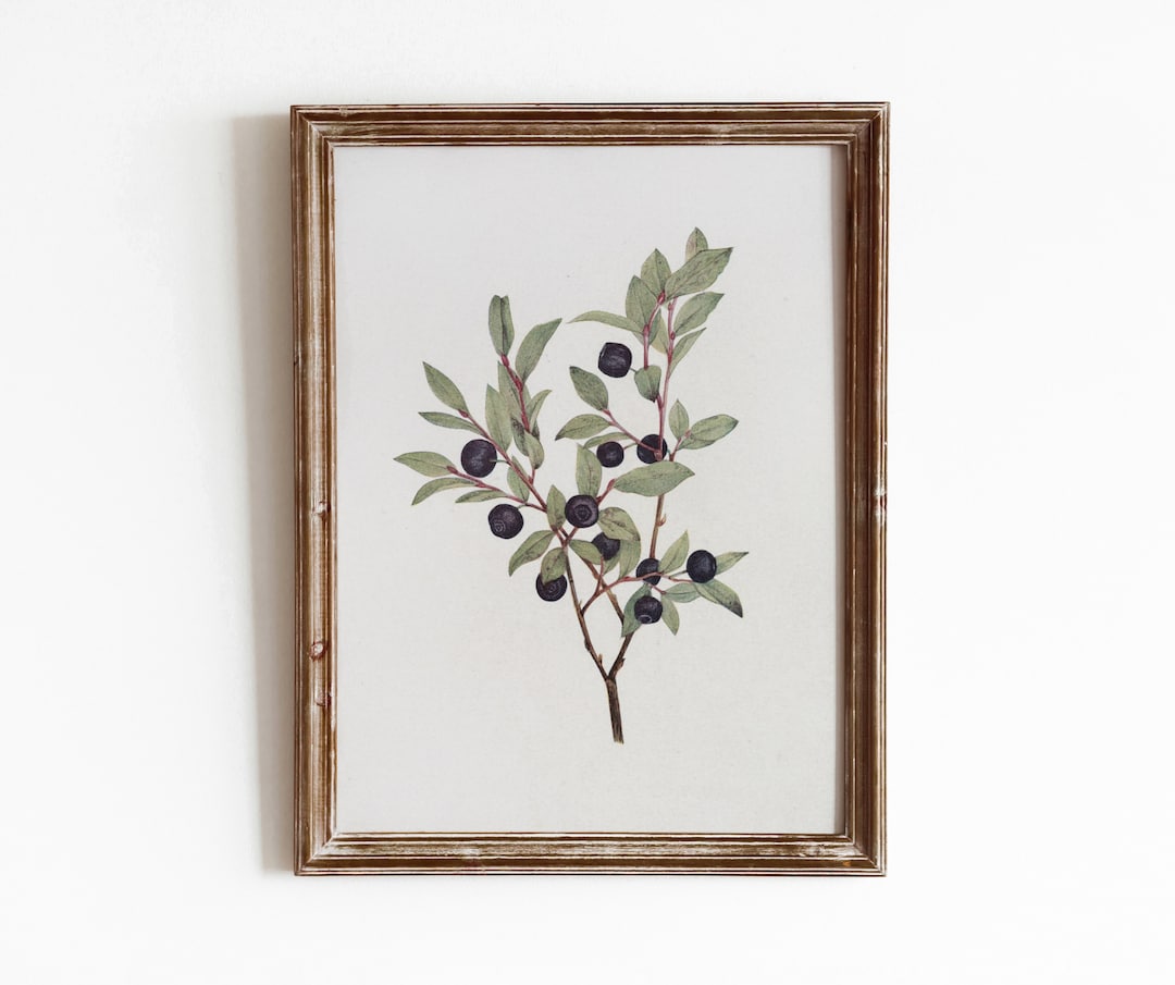 Huckleberry Sprig Vintage Botanical Watercolor Painting Seasonal Art ...