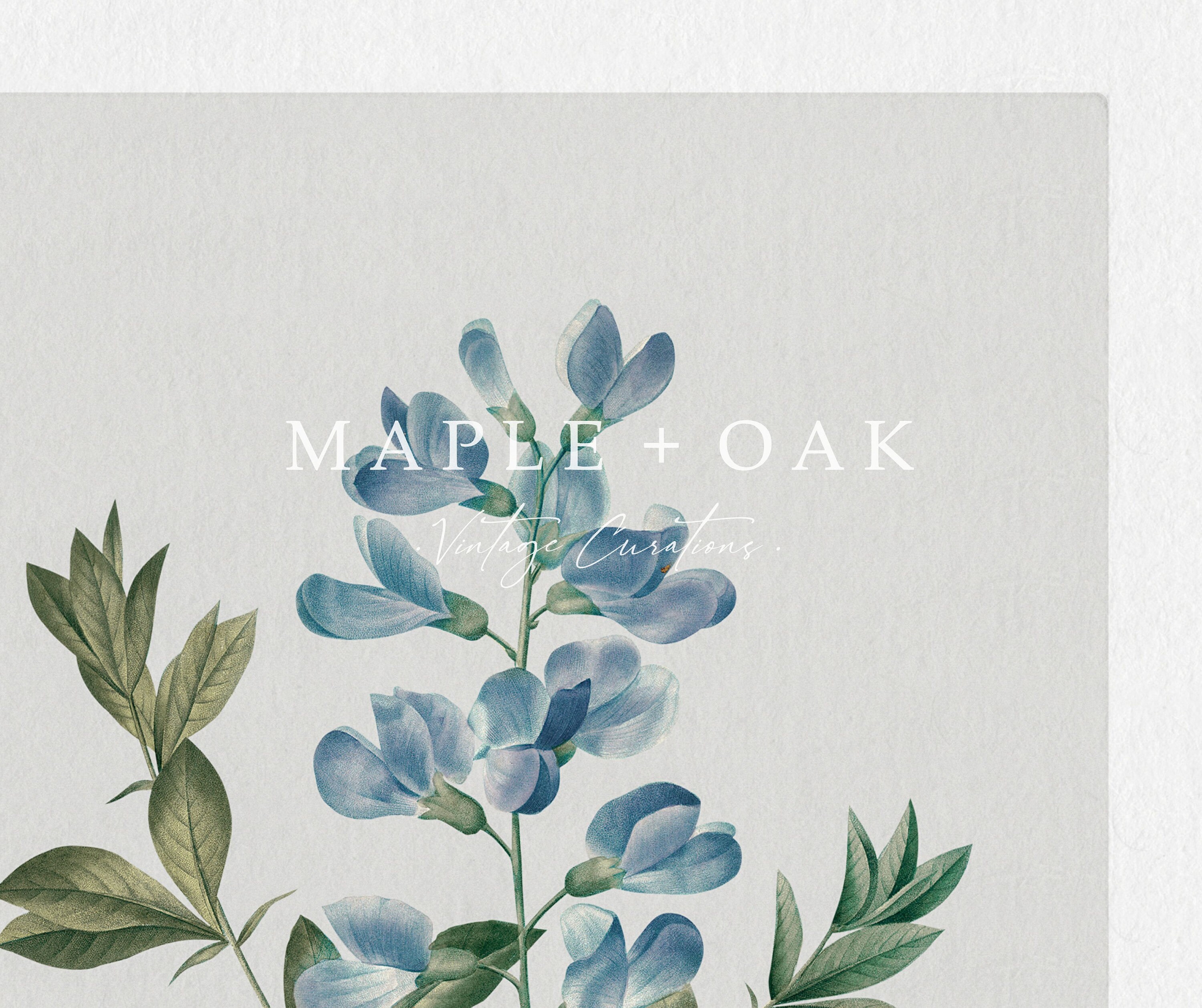 Blue Botanical Set of 8 | Vintage Floral Watercolors | Printable Flower ...