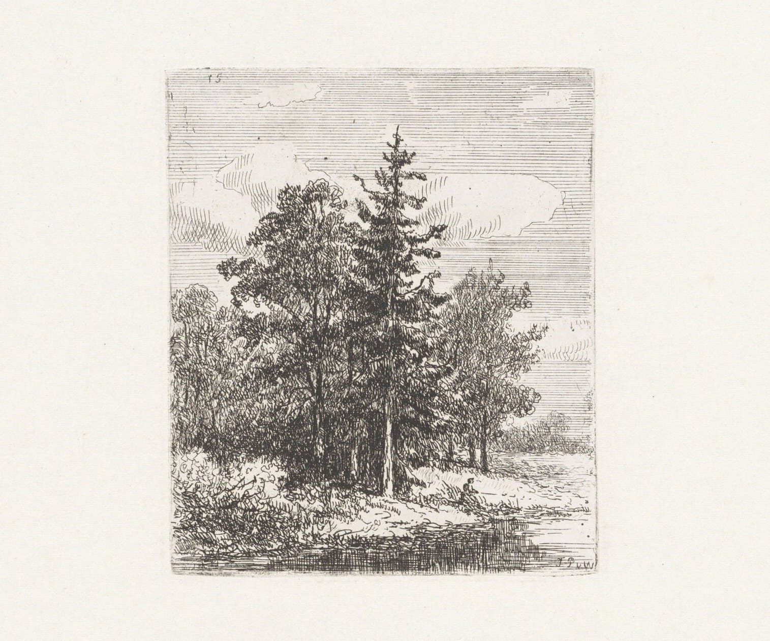 Tree Etching Vintage Landscape Sketch Black and White Art | Etsy