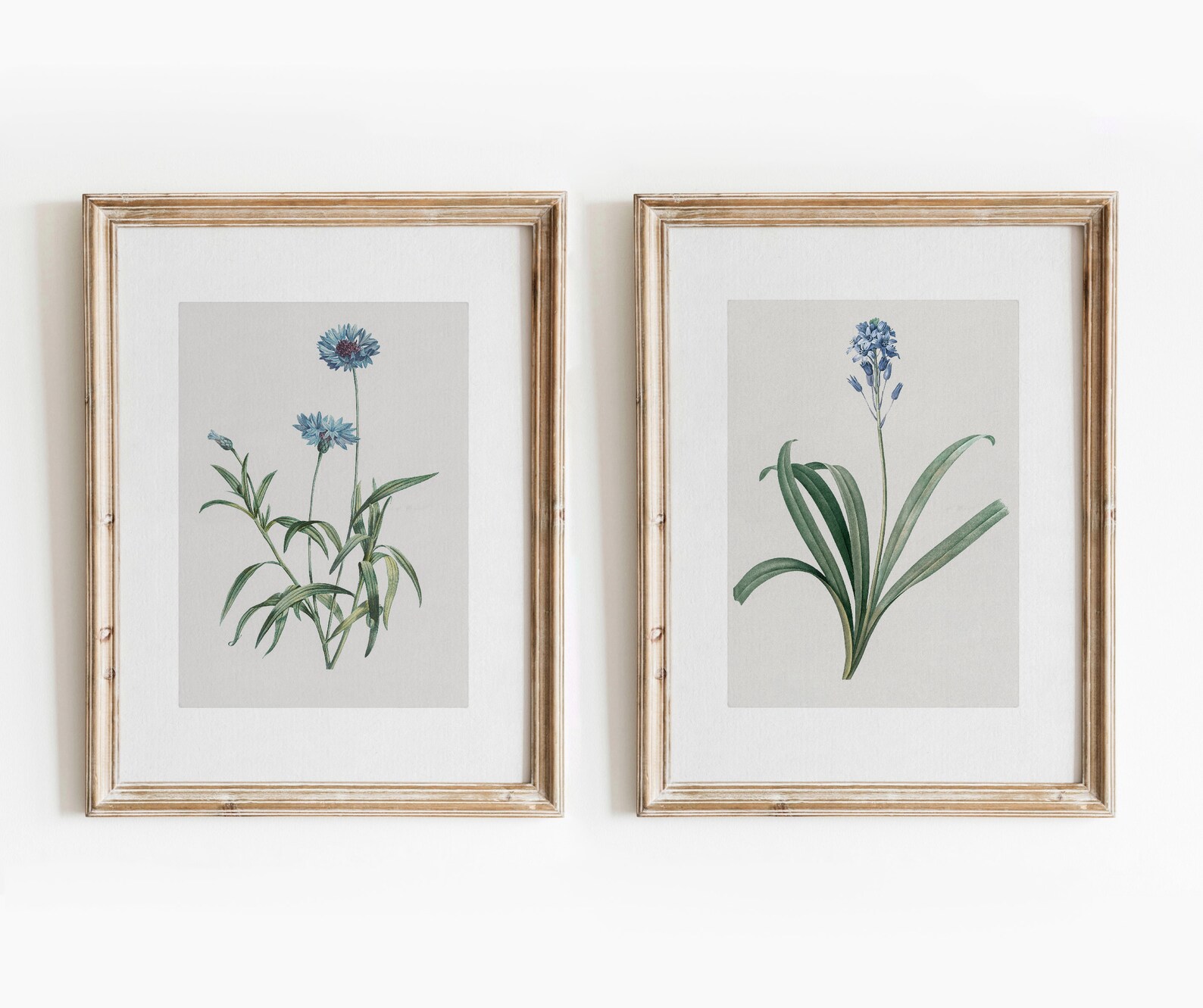 Blue Botanical Set of 8 | Vintage Floral Watercolors | Printable Flower ...