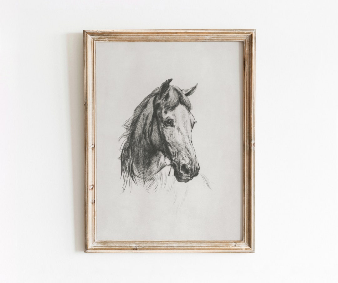 Horse Etching | Vintage Black and White Sketch | Farm Animal Artwork ...
