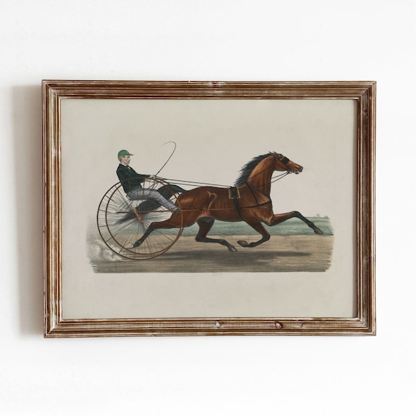 Harness Horse Racing Decor - Etsy