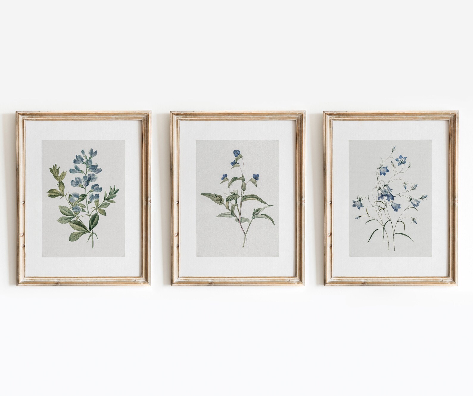 Blue Botanical Set of 3 Vintage Flower Paintings Floral - Etsy