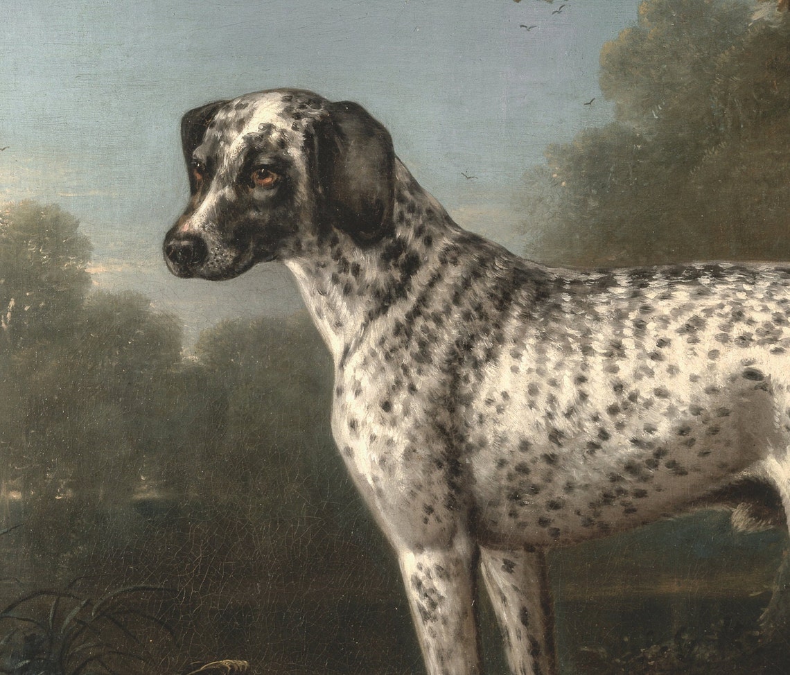 Spotted Hound Vintage Bird Hunting Dog Painting Black and - Etsy