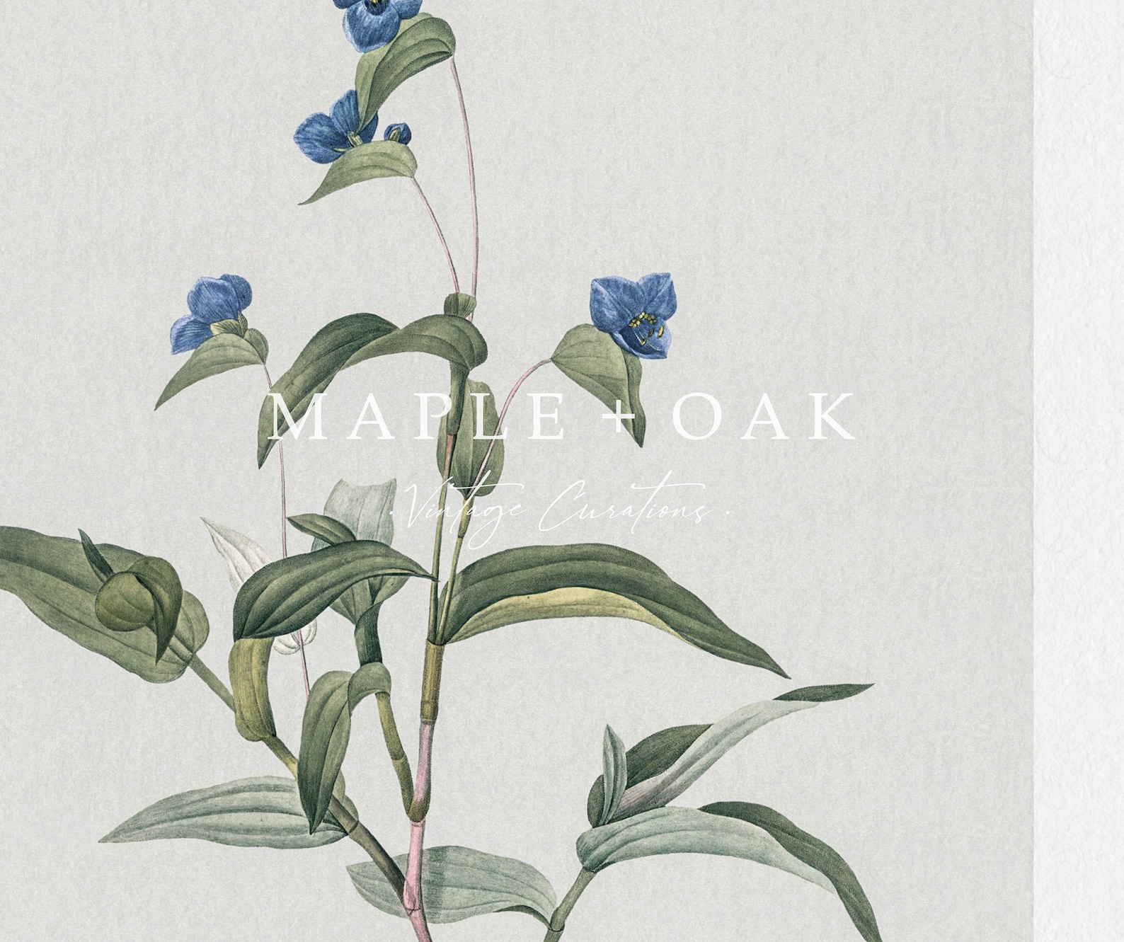 Blue Botanical Set of 8 | Vintage Floral Watercolors | Printable Flower ...