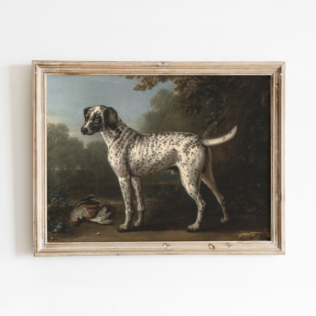 Spotted Hound | Vintage Bird Hunting Dog Painting | Black and White Dog ...