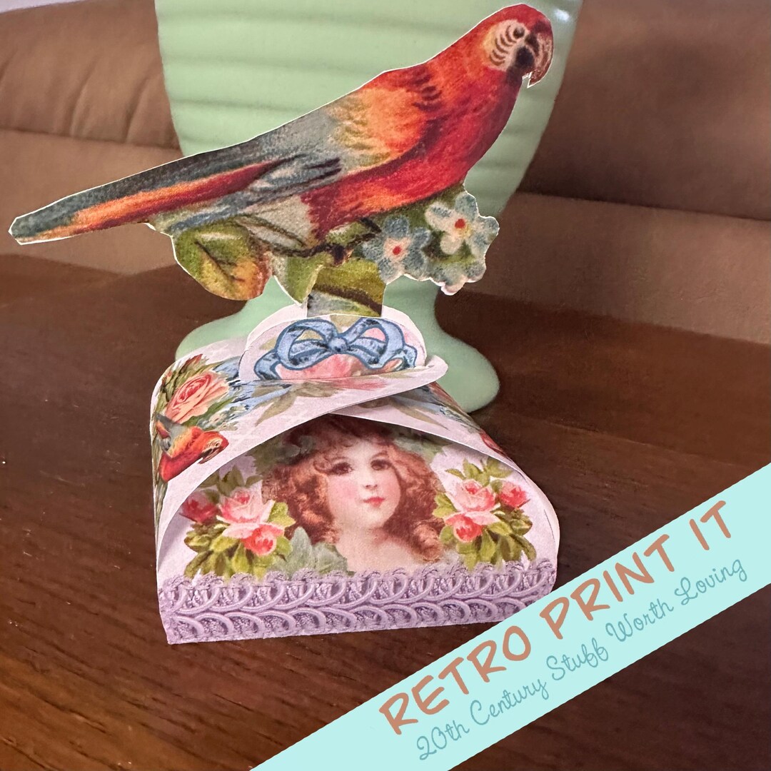 Printable Vintage Macaw Bird Gift Box Digital Download - Etsy