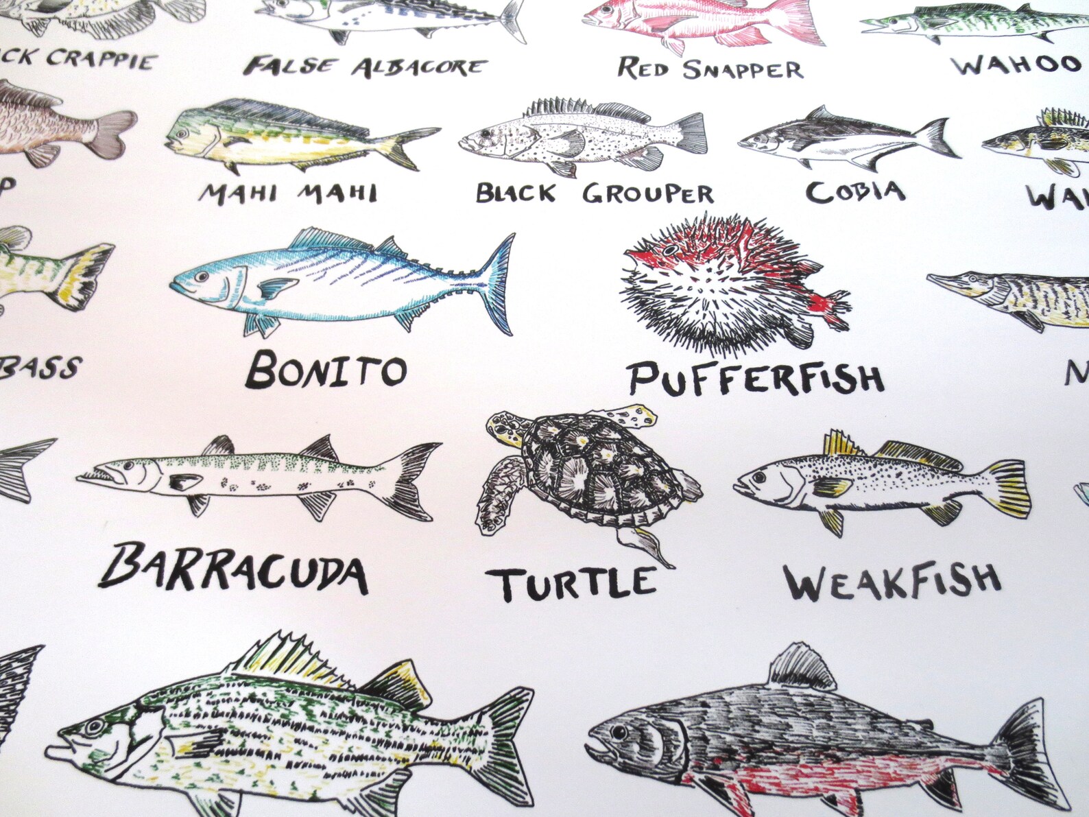 Fish Illustrated Print Fish Poster / Wildlife Wall Art / Gift for ...