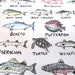Fish Illustrated Print Fish Poster / Wildlife Wall Art / Gift for ...