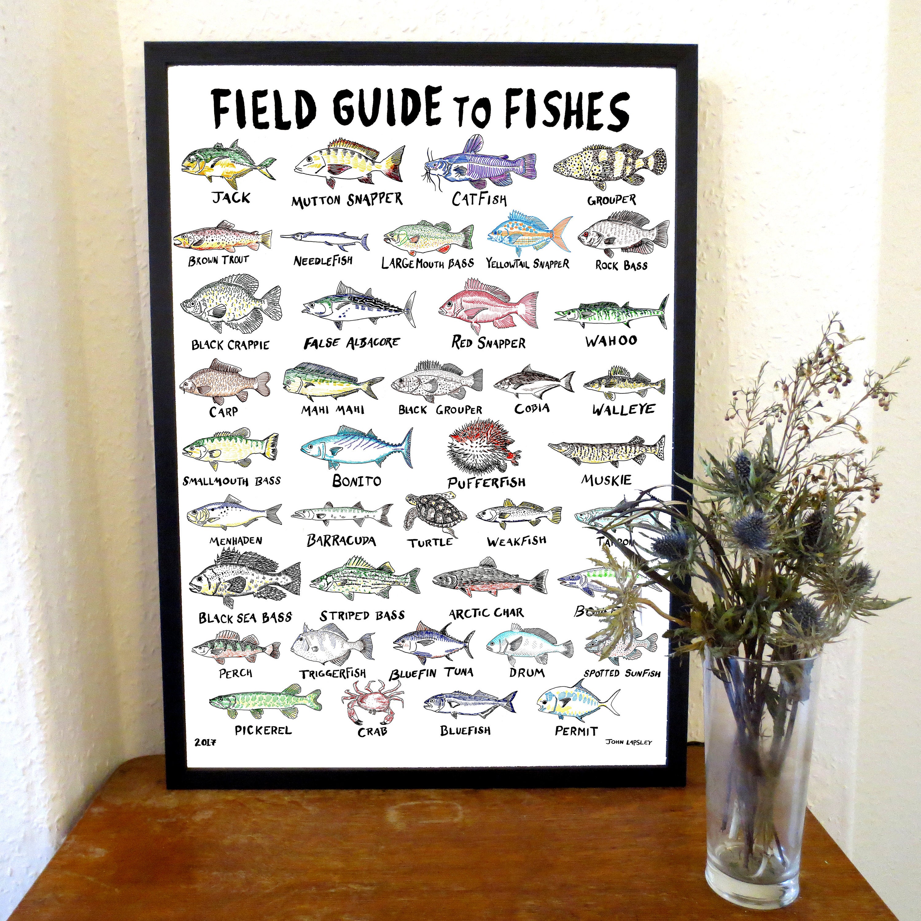 Fish Illustrated Print Fish Poster / Wildlife Wall Art / Gift for ...