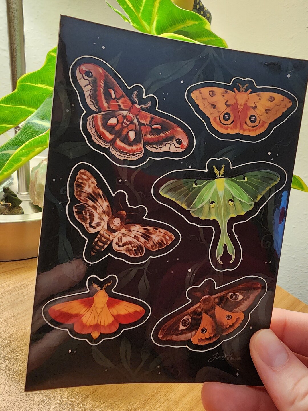 STICKER SHEET / Cottagecore Stickers Witch Art, Nature Stickers, Moth ...