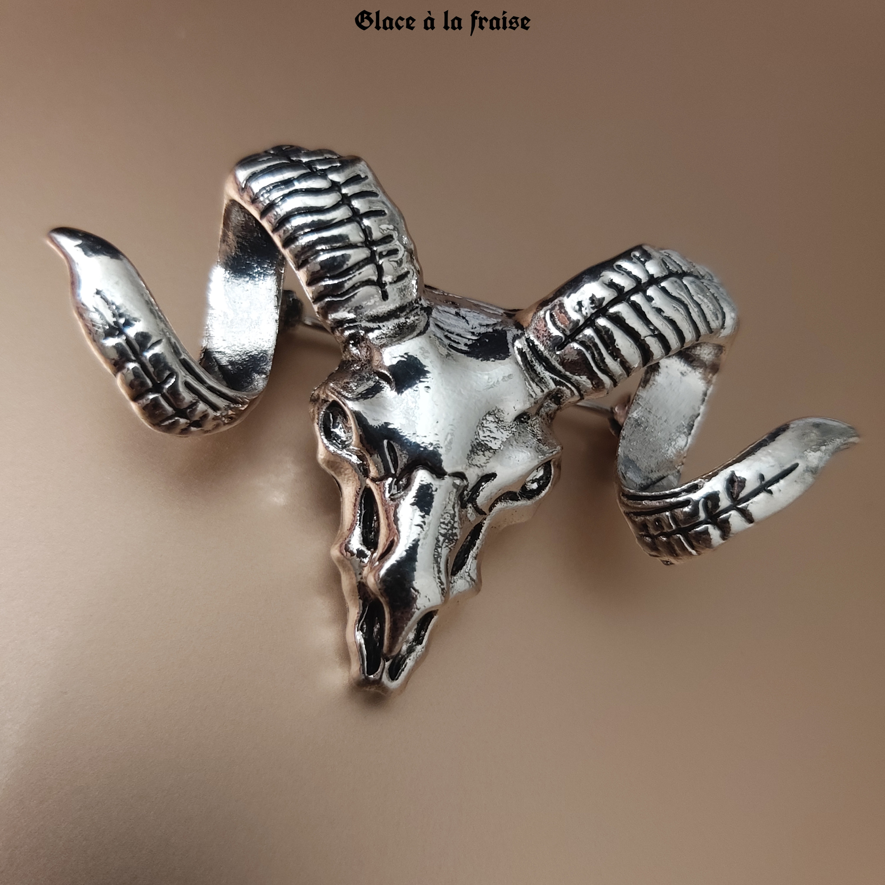 Goat Skull Brooch Gothic Pin Goth Brooch Gift for Her Gift - Etsy Australia