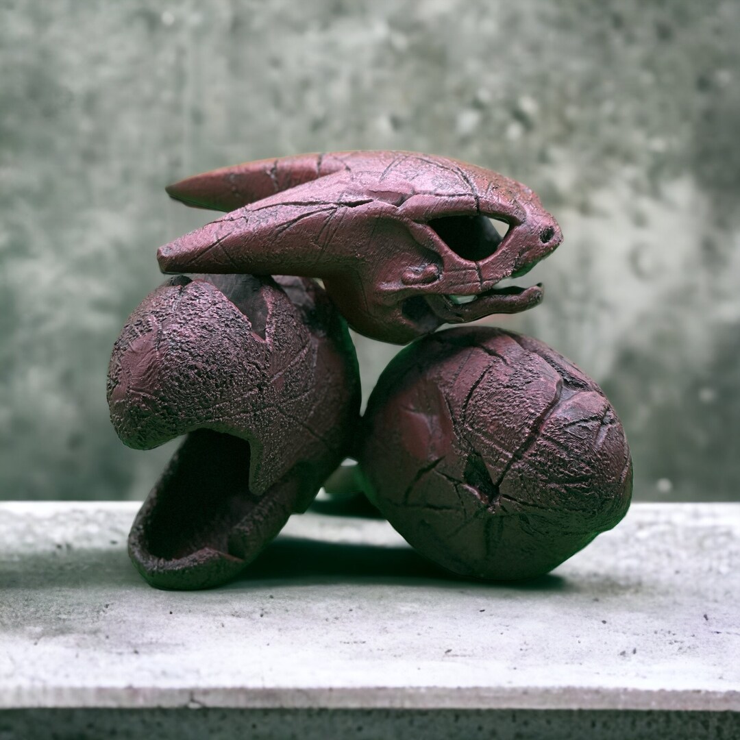 212 Skull & Claw Set - Etsy