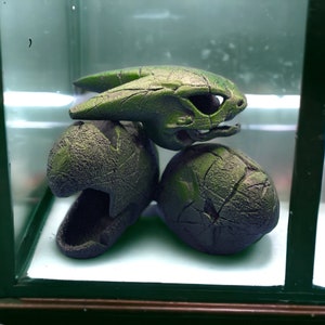 212 Skull & Claw Set - Etsy