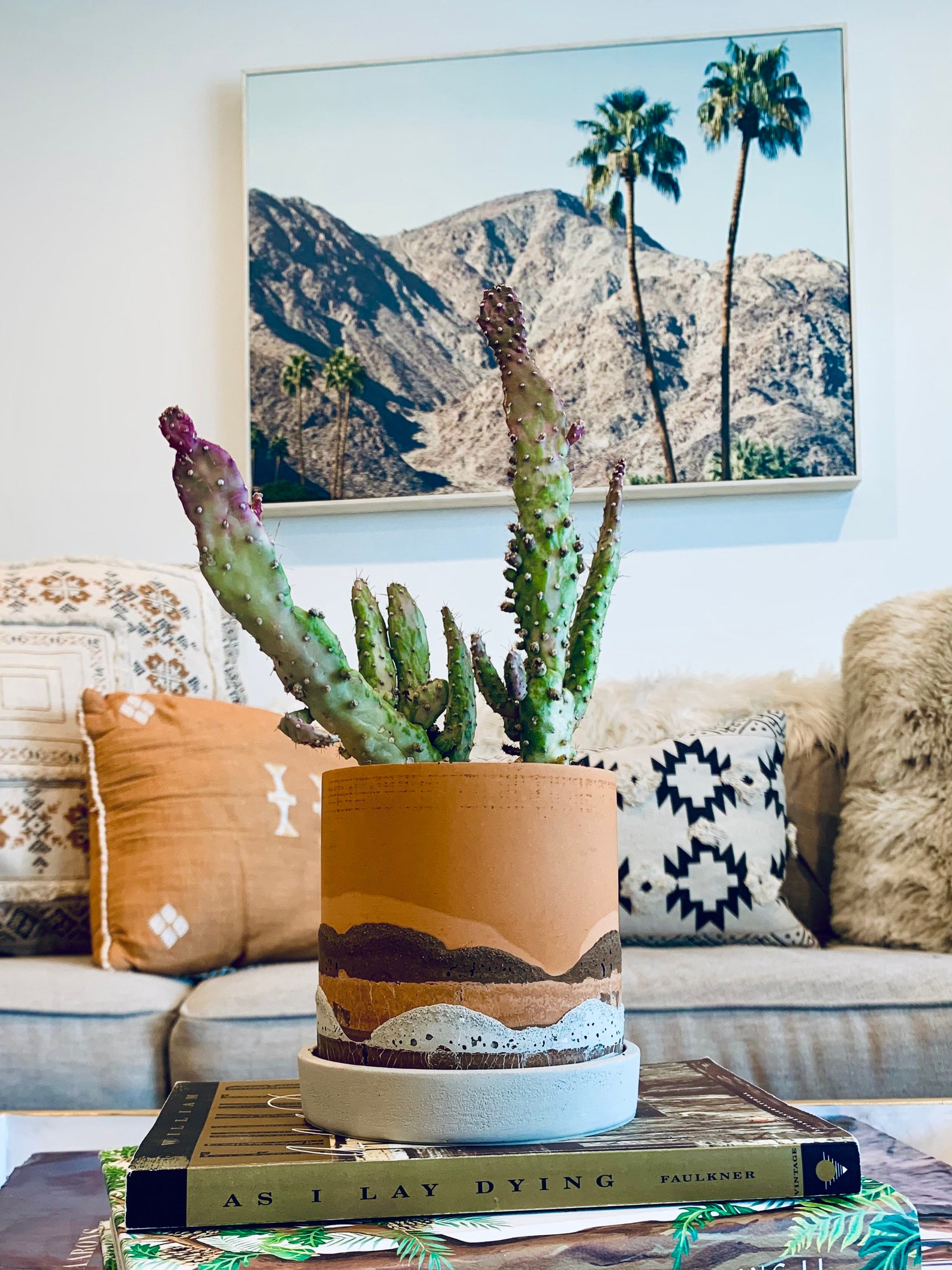 Concrete Plant Pot Desert Pot Concrete Planter House - Etsy