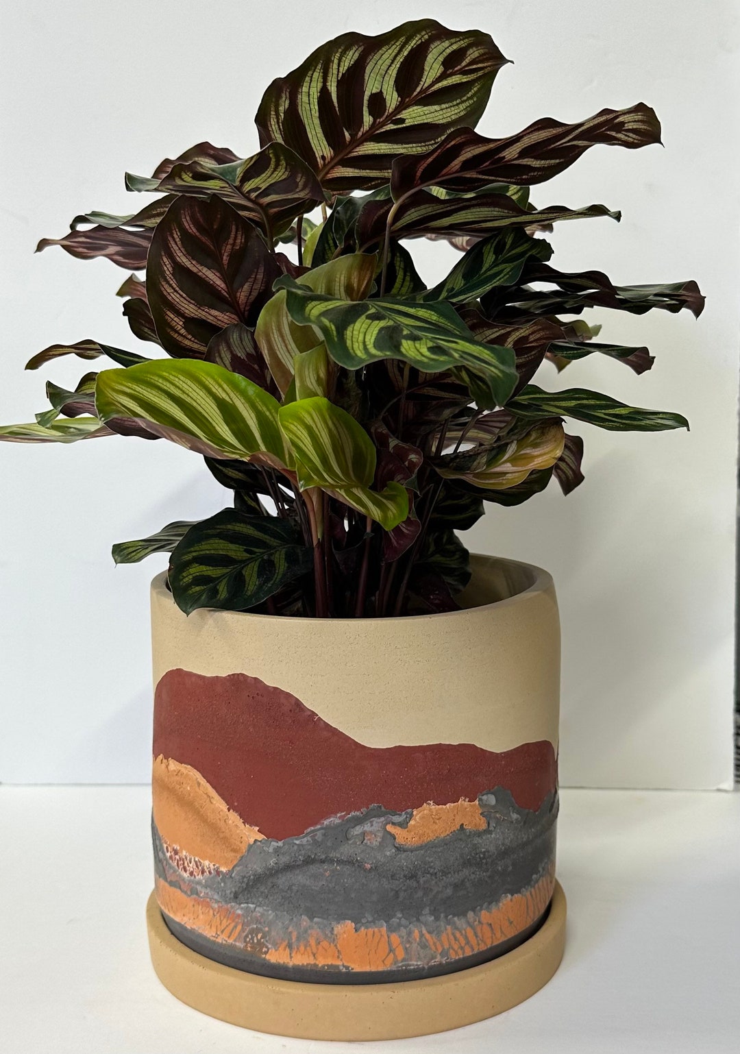 X Large Desert Pot | Planter - Etsy