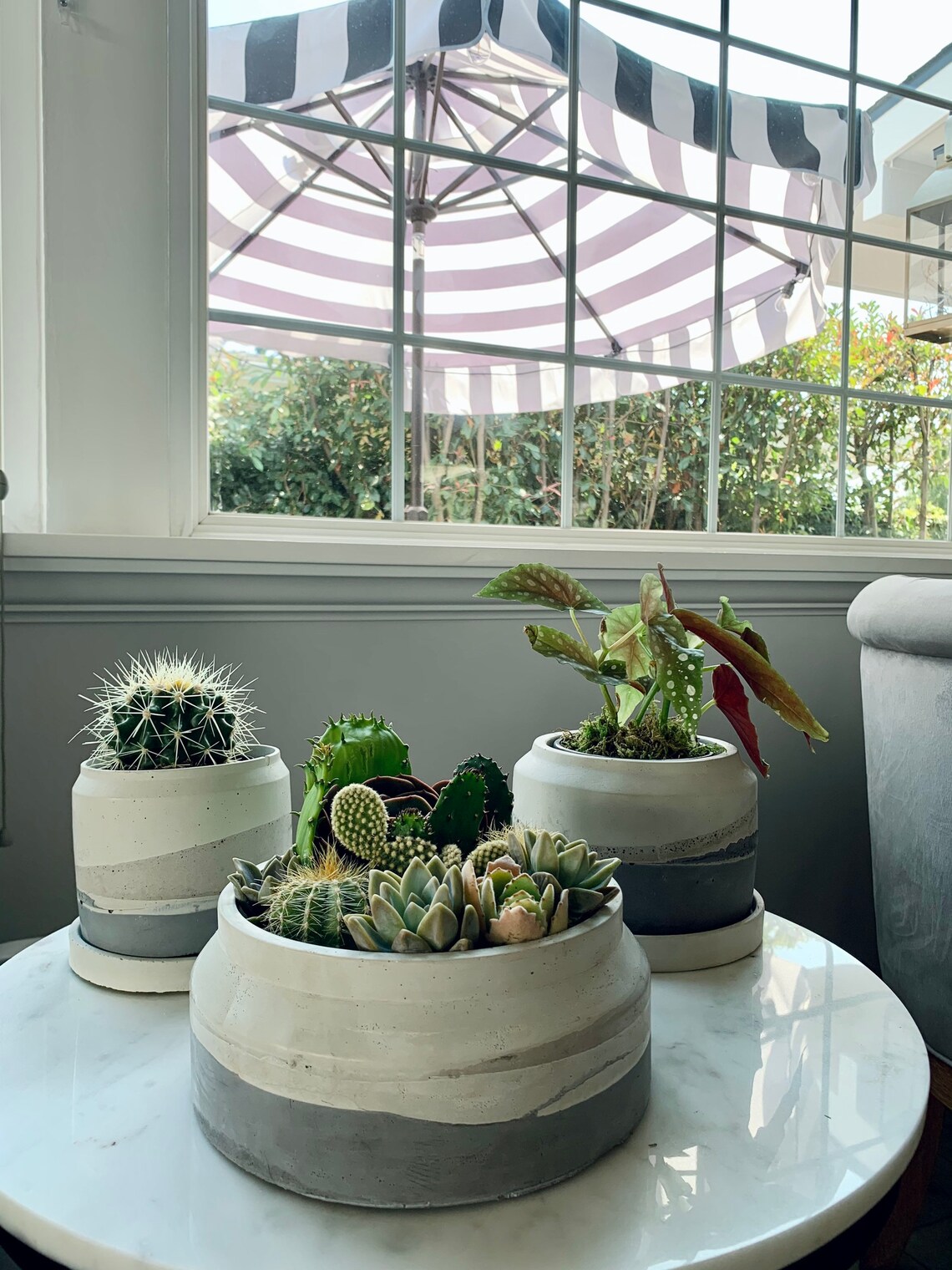 Concrete Plant pot Desert pot Concrete planter House | Etsy