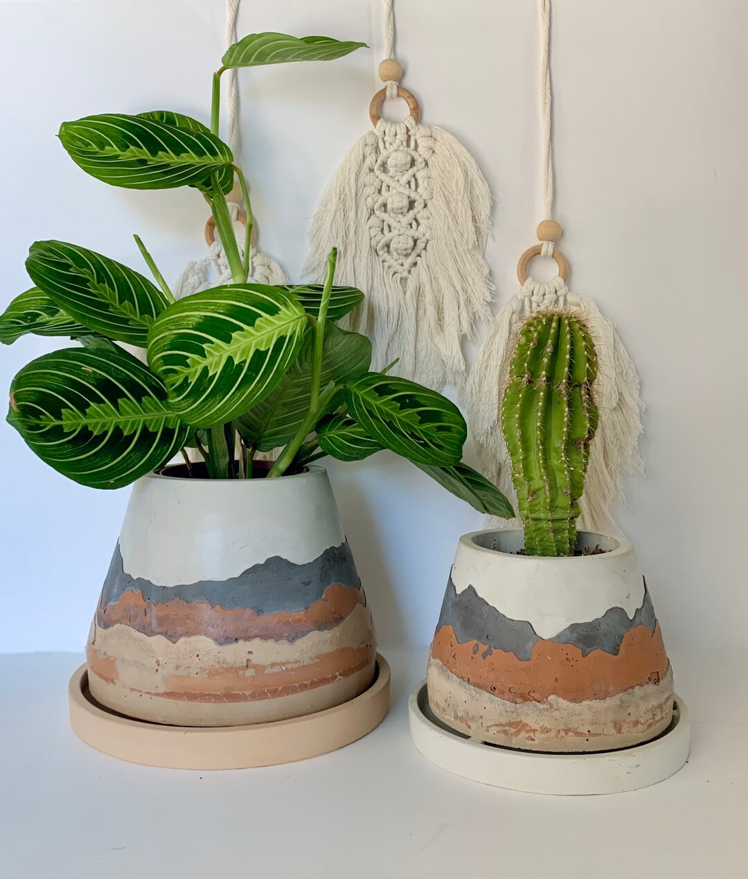 Blue Ridge Planter | Desert Pot | Handmade | Pottery | Boho | Concrete ...
