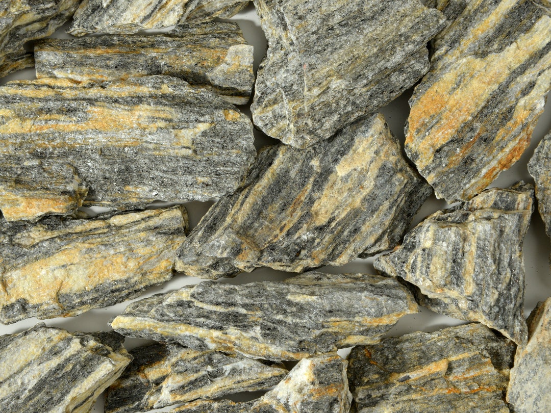 Decorative Rocks | Terrarium Decor | Ecosystem | Terrarium Supplies ...