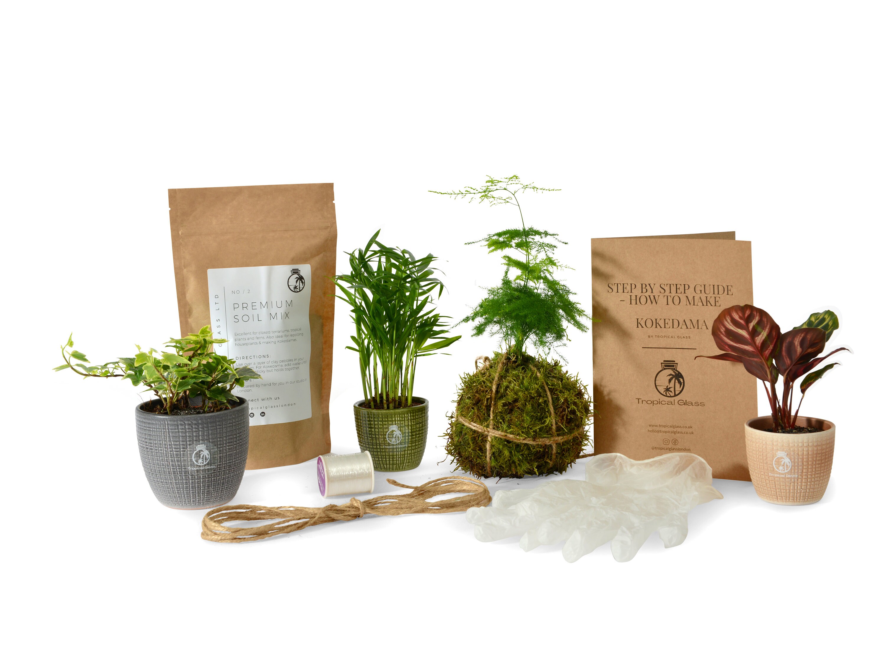DIY Kokedama Kit | Kokedama Moss Ball | Baby Plant | Calathea, Ivy ...
