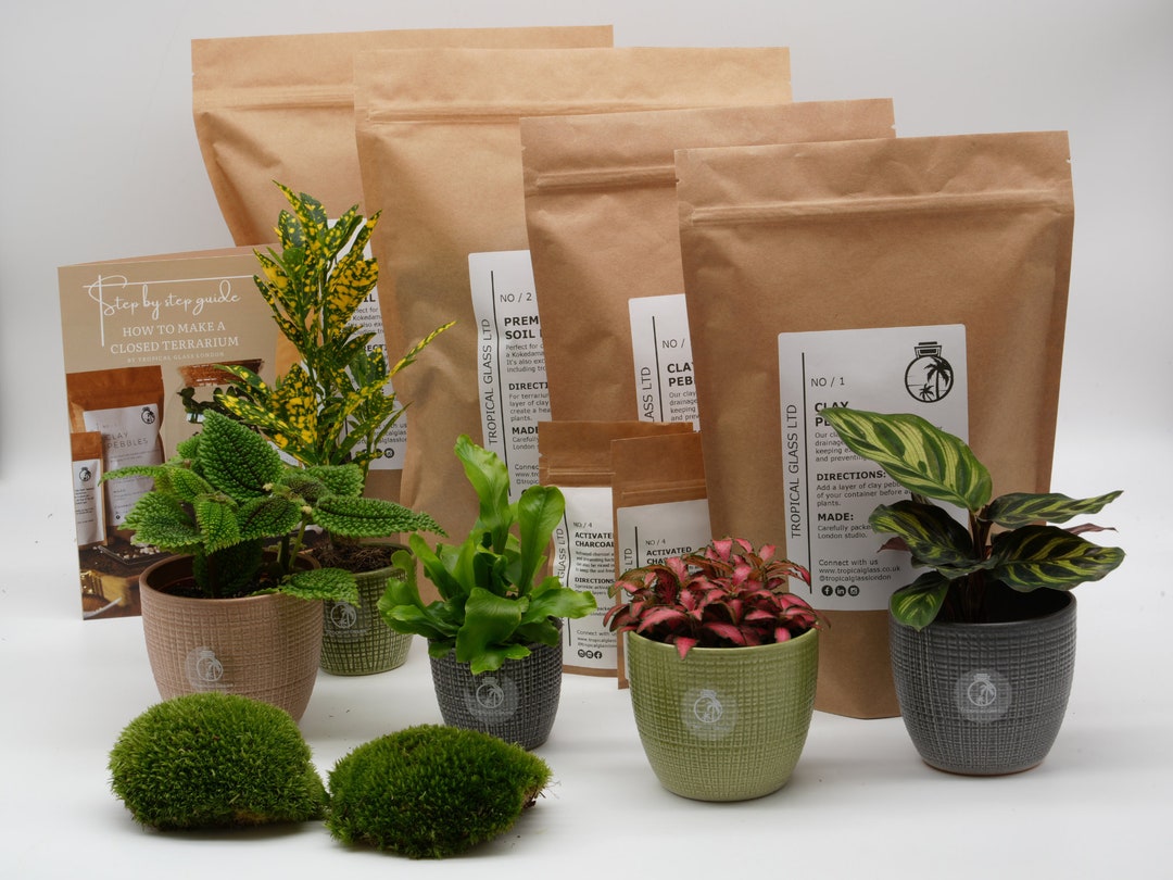 DIY Terrarium Starter Kit (various Sizes) - Basic | Closed Terrarium ...