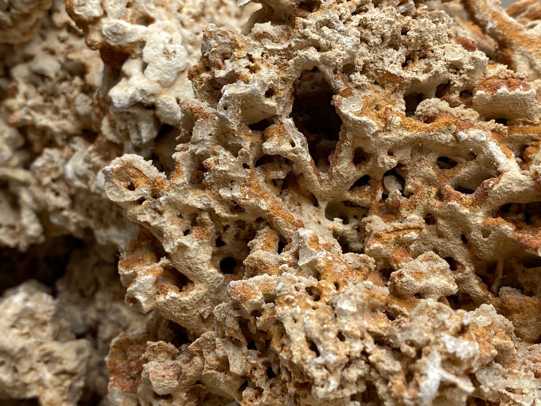 Spaghetti Rock | Terrarium Supplies | Decorative Rocks | Terrarium ...