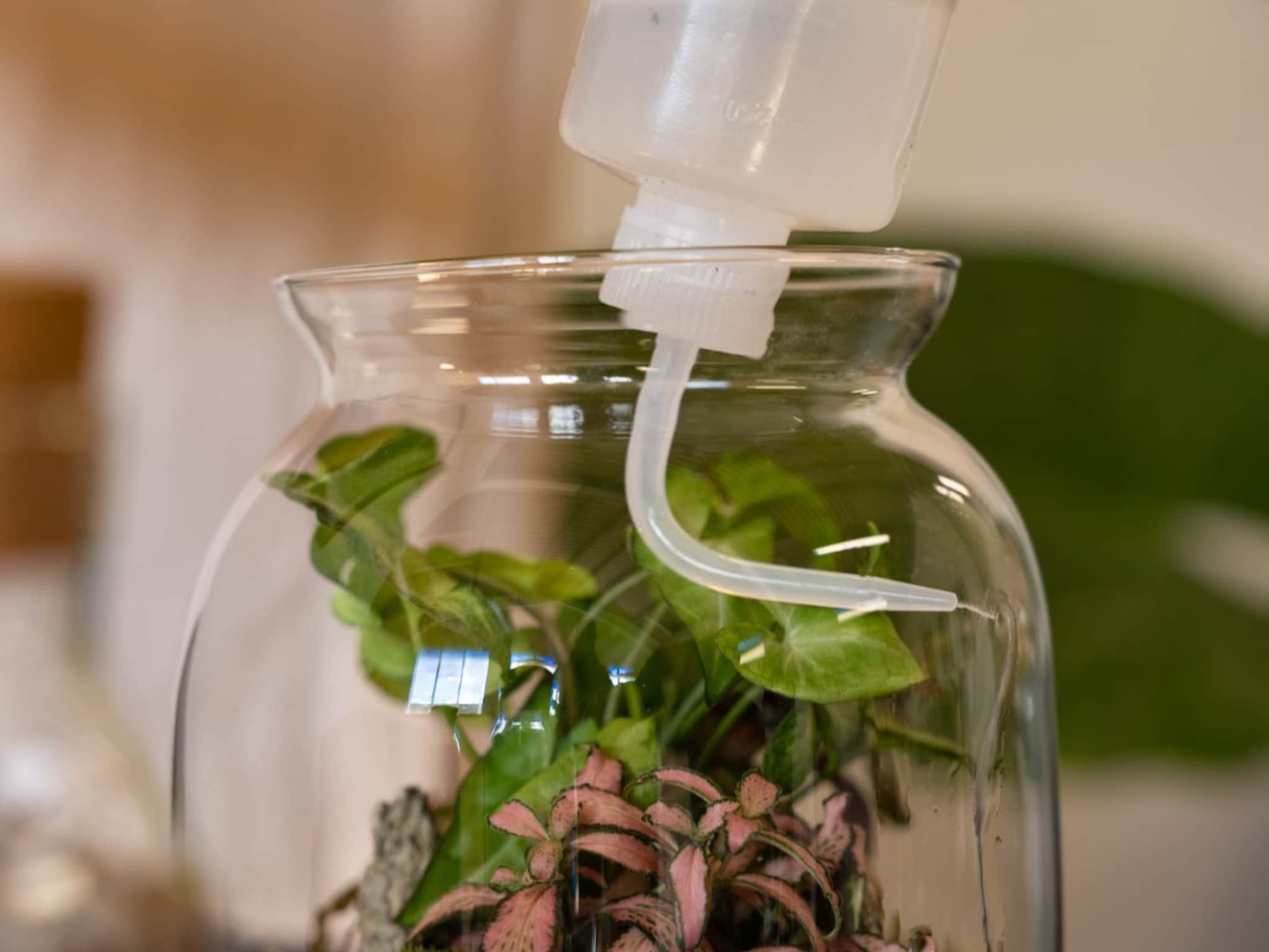 Terrarium Tool Kit | Shovel Rake Spade Brush Water Bottle Mini Garden ...