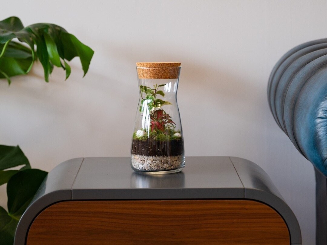 DIY Terrarium Kit With Jar and Plants 'porto' | Small Bottle Terrarium ...