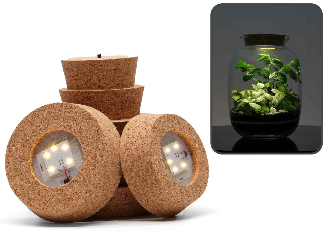 Terrarium Cork With Light - Various Sizes | Cork Lid Stopper Large Size ...