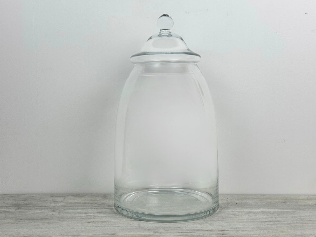 Large Terrarium Glass Container With Glass Lid H:48 Cm High - Etsy