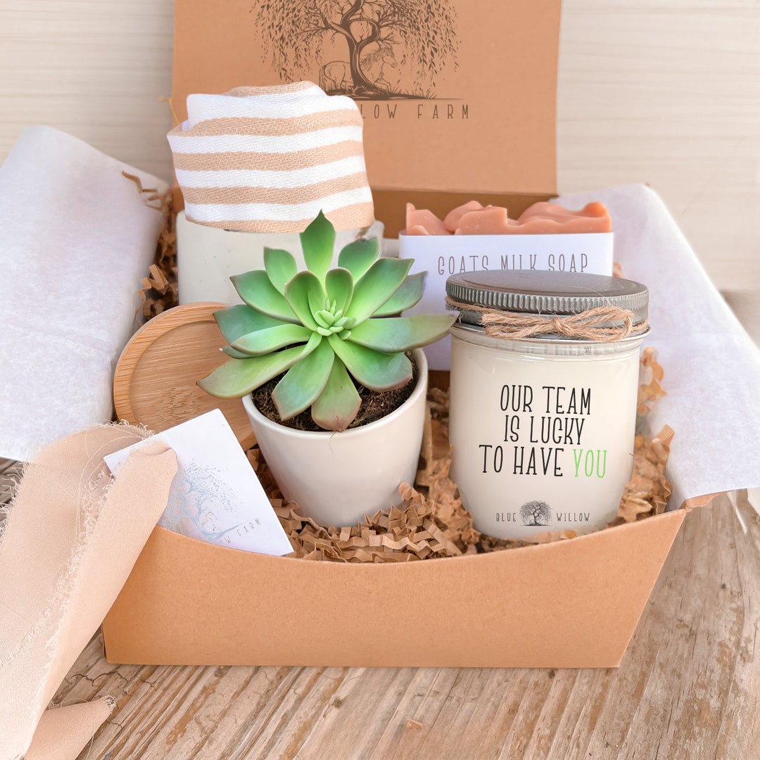New Employee Gift, Welcome New Employee, Gift Box for New Hire, Staff Appreciation Gift ...