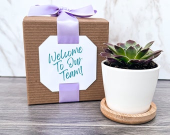 New Employee Onboarding Gift - Etsy