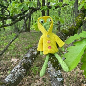 Crochet Frog in Raincoat Pattern Easy Cute Green Frog in - Etsy