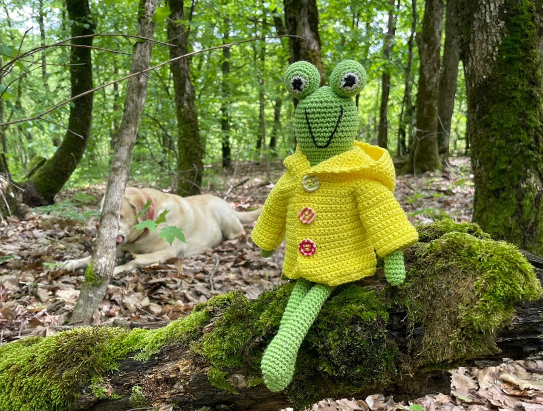 Crochet Frog in Raincoat Pattern Easy | Cute Green Frog in Clothes ...