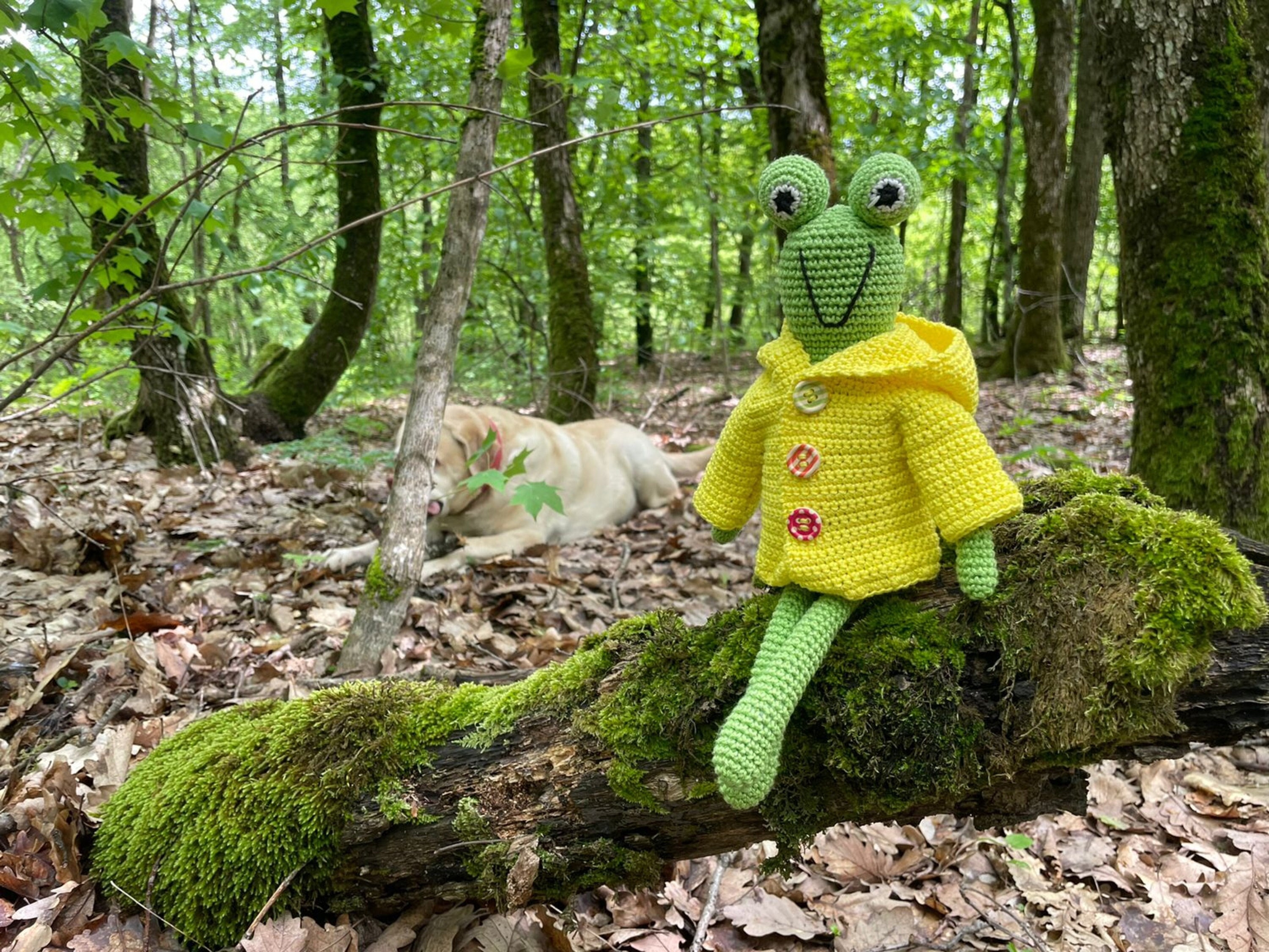 Crochet Frog in Raincoat Pattern Easy Cute Green Frog in - Etsy