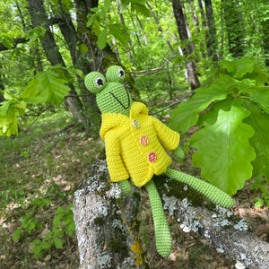Crochet Frog in Raincoat Pattern Easy Cute Green Frog in - Etsy
