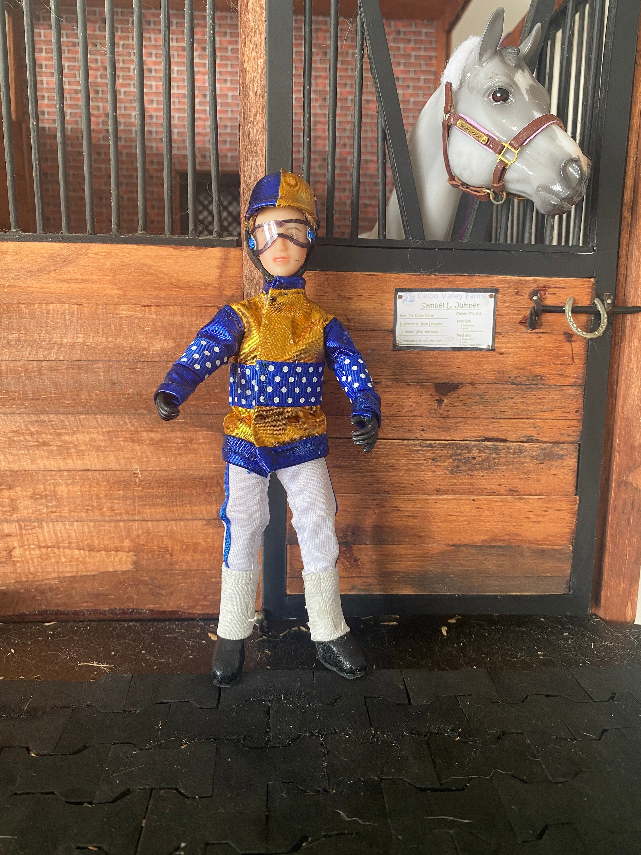 Pattern to Make Harness Racing Silks for Your Model Horse Doll - Etsy