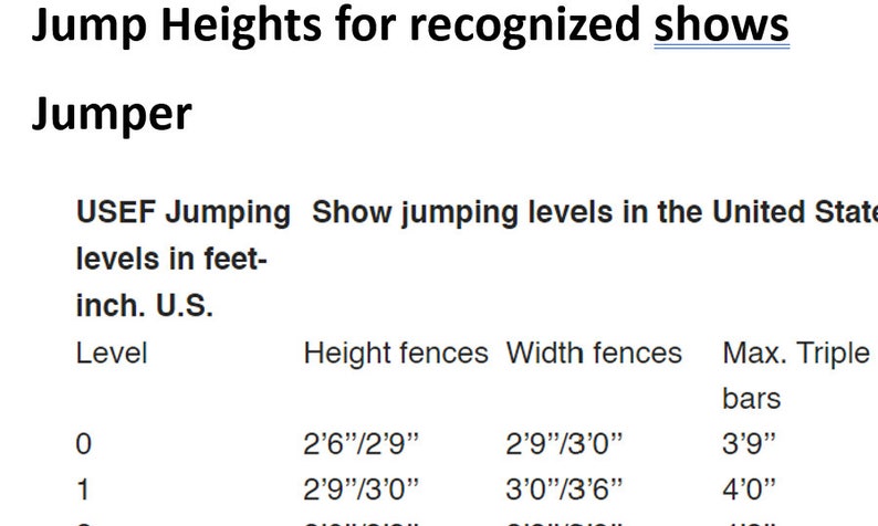 Model Horse Jumping Cheat Sheet - Etsy