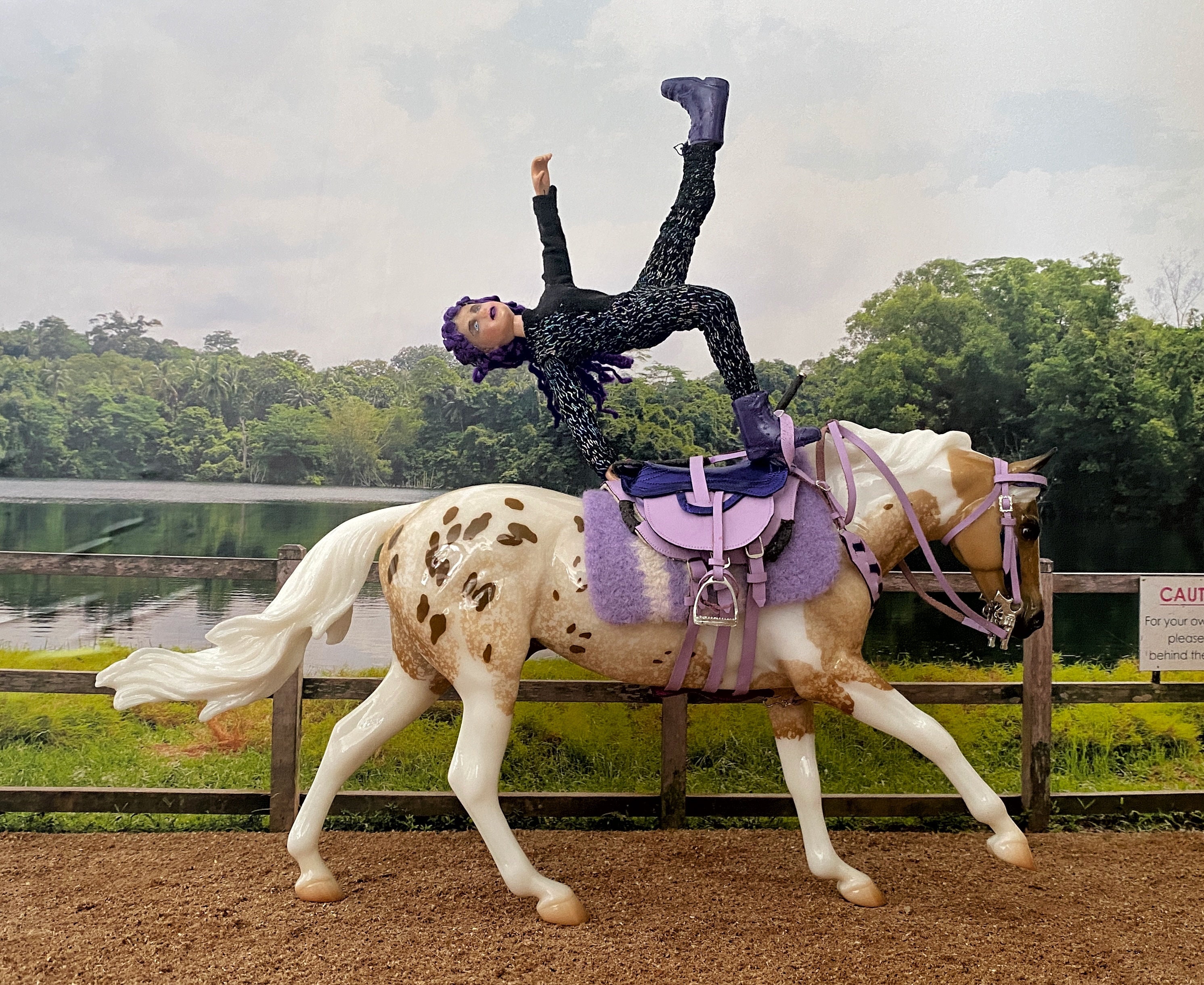 Pattern to Make a Model Horse Trick Riding Saddle and Dolls Jumpsuit - Etsy